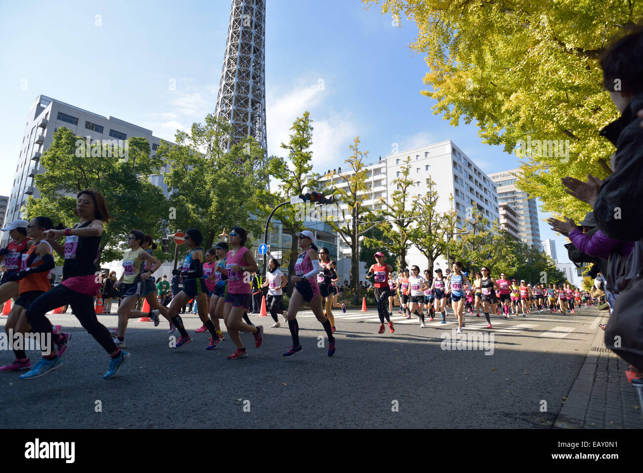 Yokohama, Kanagawa, Japan. 16th Nov, 2014. General view Marathon ...