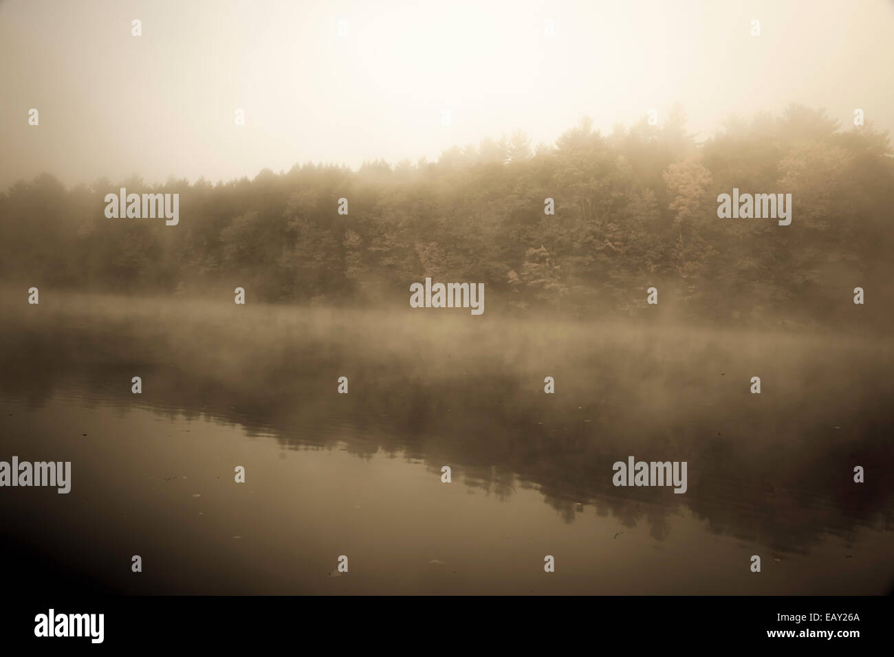 Fog over river Stock Photo - Alamy