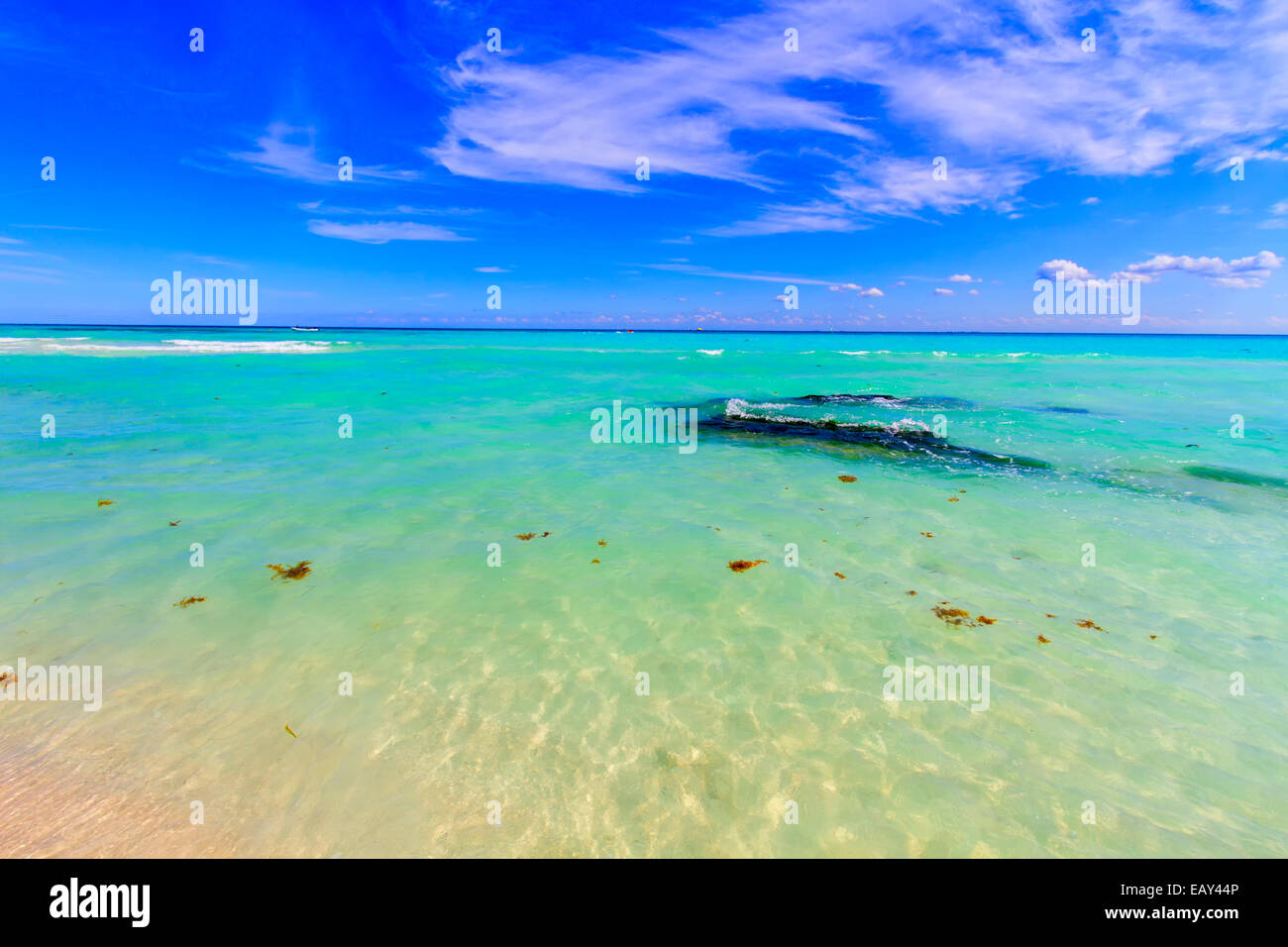 View of the pristine tropical beach Stock Photo - Alamy