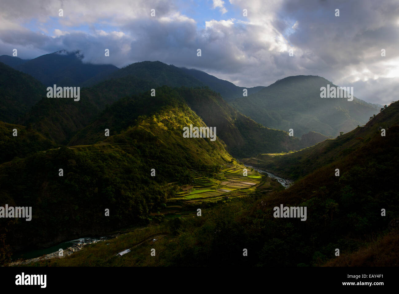 Rice terraces, North Luzon, Philippines Stock Photo - Alamy