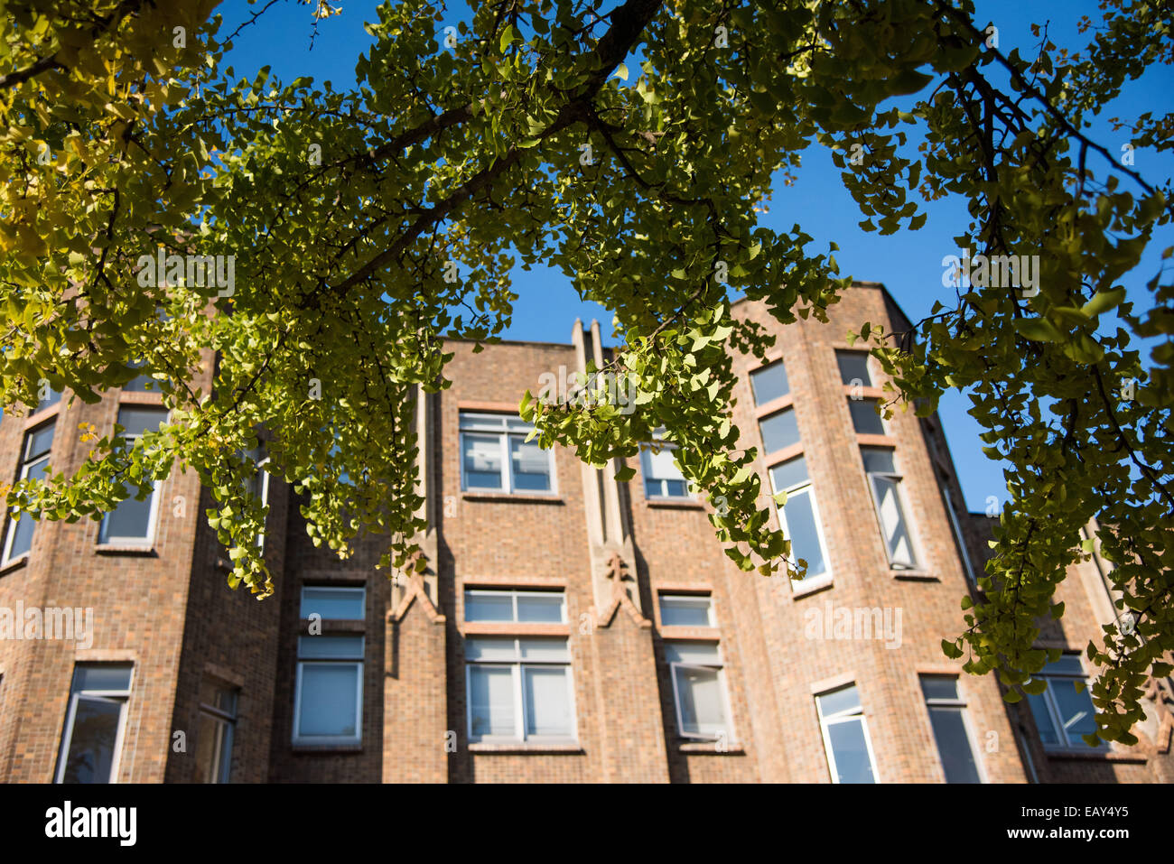 University of Tokyo,Bunkyo-ku,Tokyo,Japan Stock Photo - Alamy