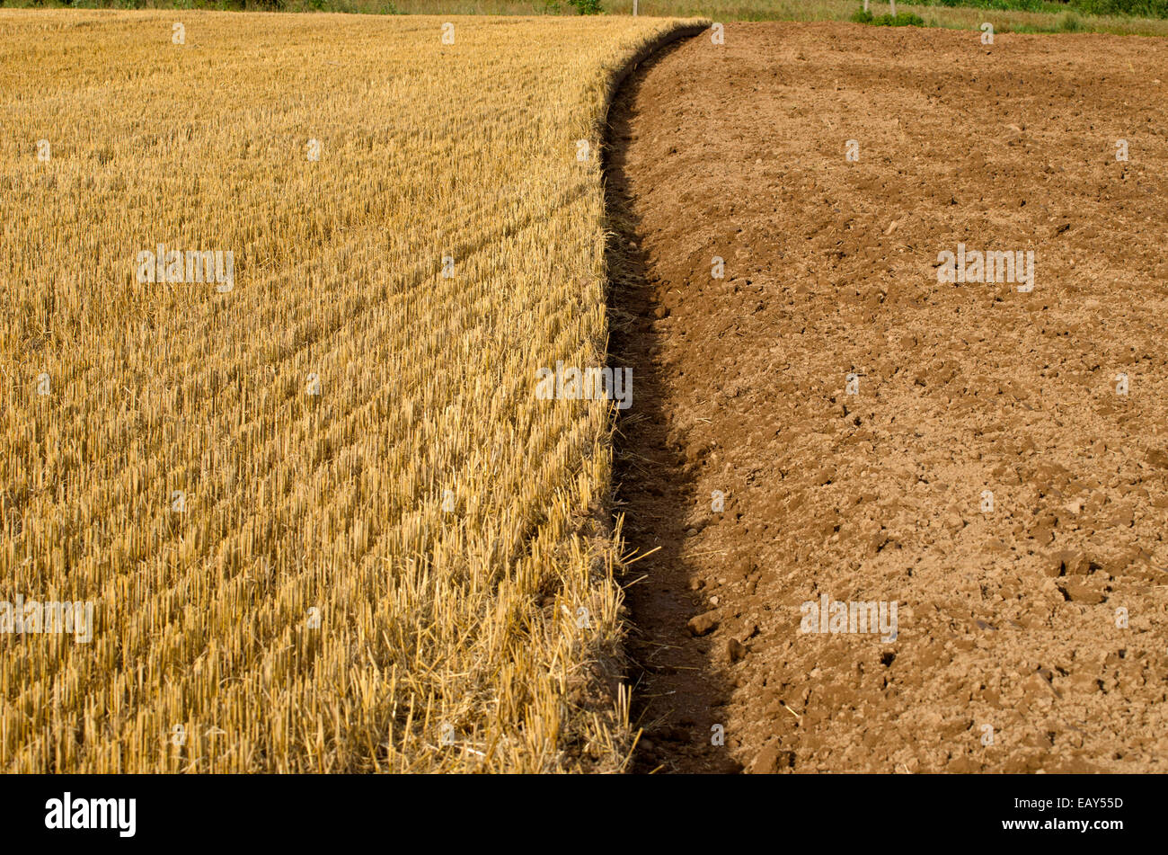 straw stubble and cultivated earth soil on autumn farm field Stock ...