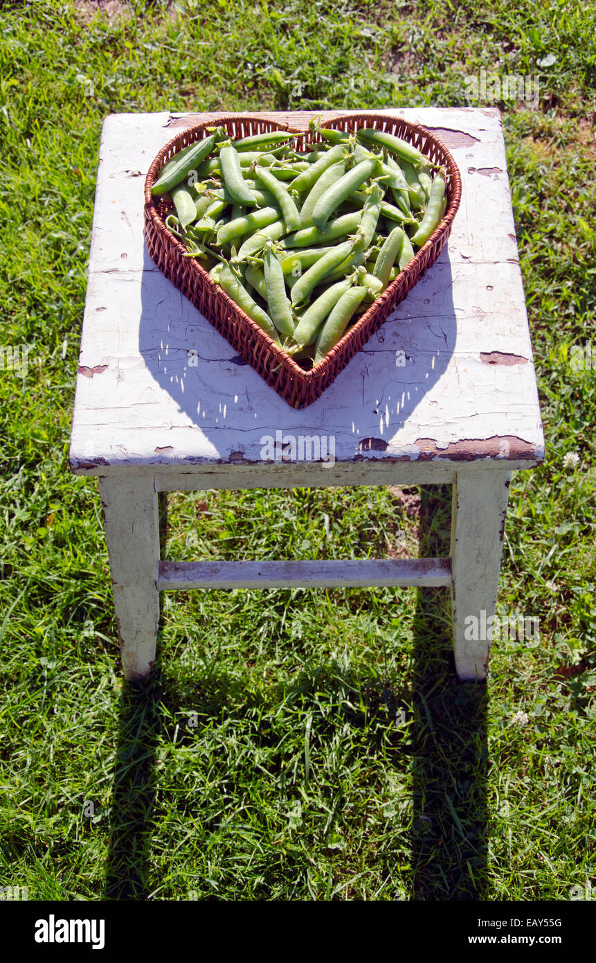 Garden pod seat hi-res stock photography and images - Alamy
