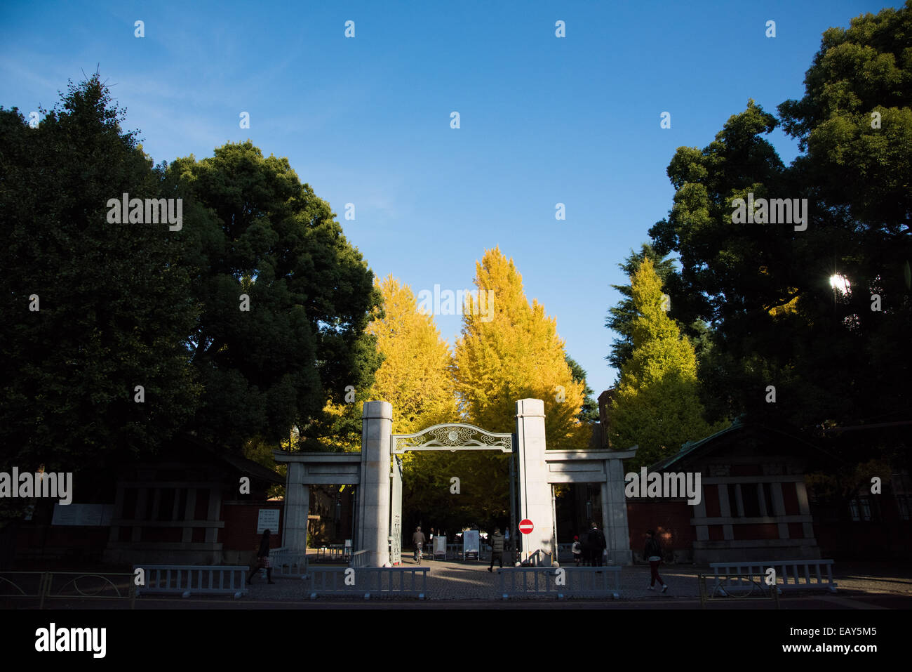 University of Tokyo,Bunkyo-ku,Tokyo,Japan Stock Photo - Alamy