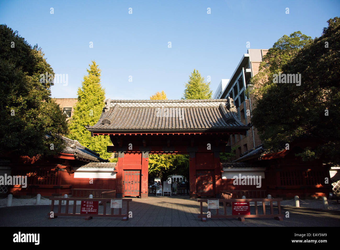 University of Tokyo,Bunkyo-ku,Tokyo,Japan Stock Photo - Alamy
