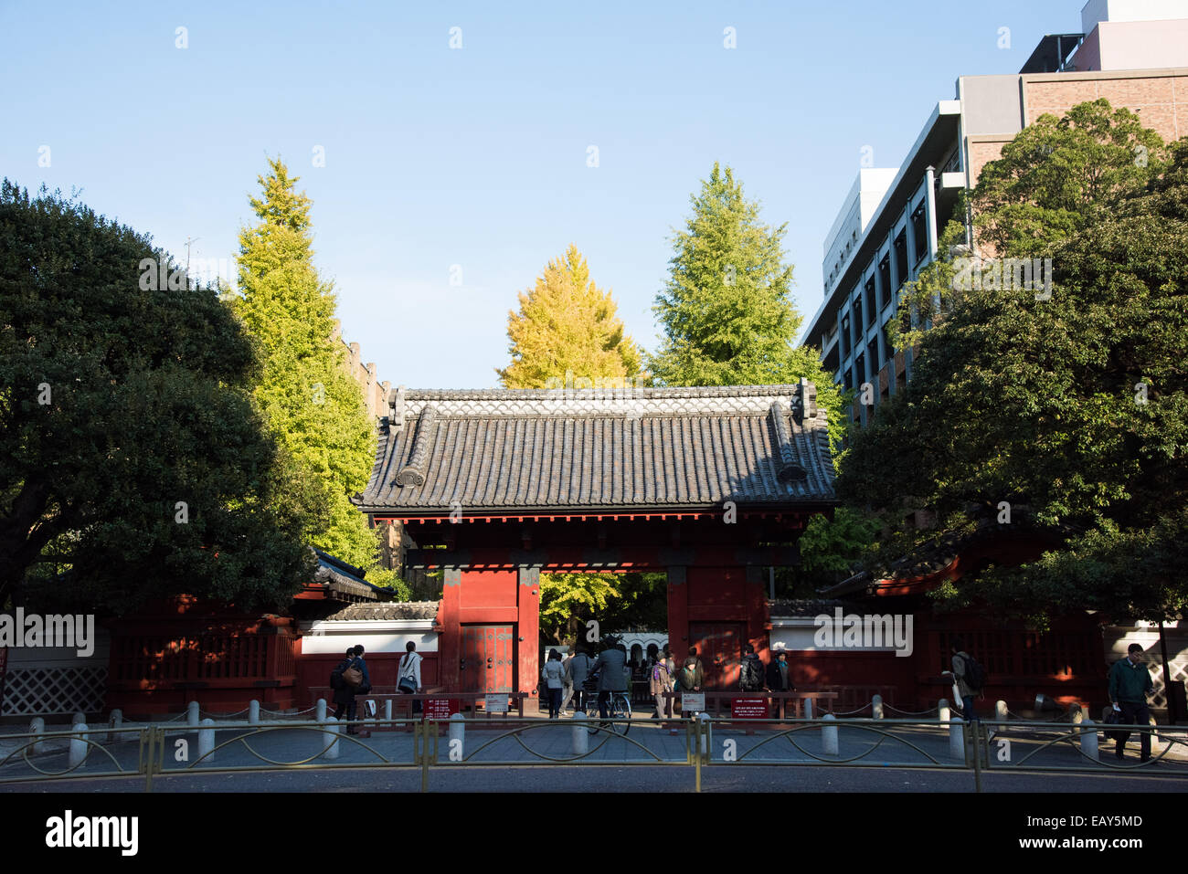 University of Tokyo,Bunkyo-ku,Tokyo,Japan Stock Photo - Alamy