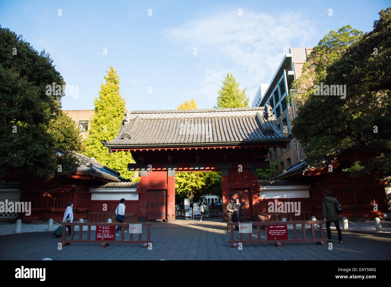 University of Tokyo,Bunkyo-ku,Tokyo,Japan Stock Photo - Alamy