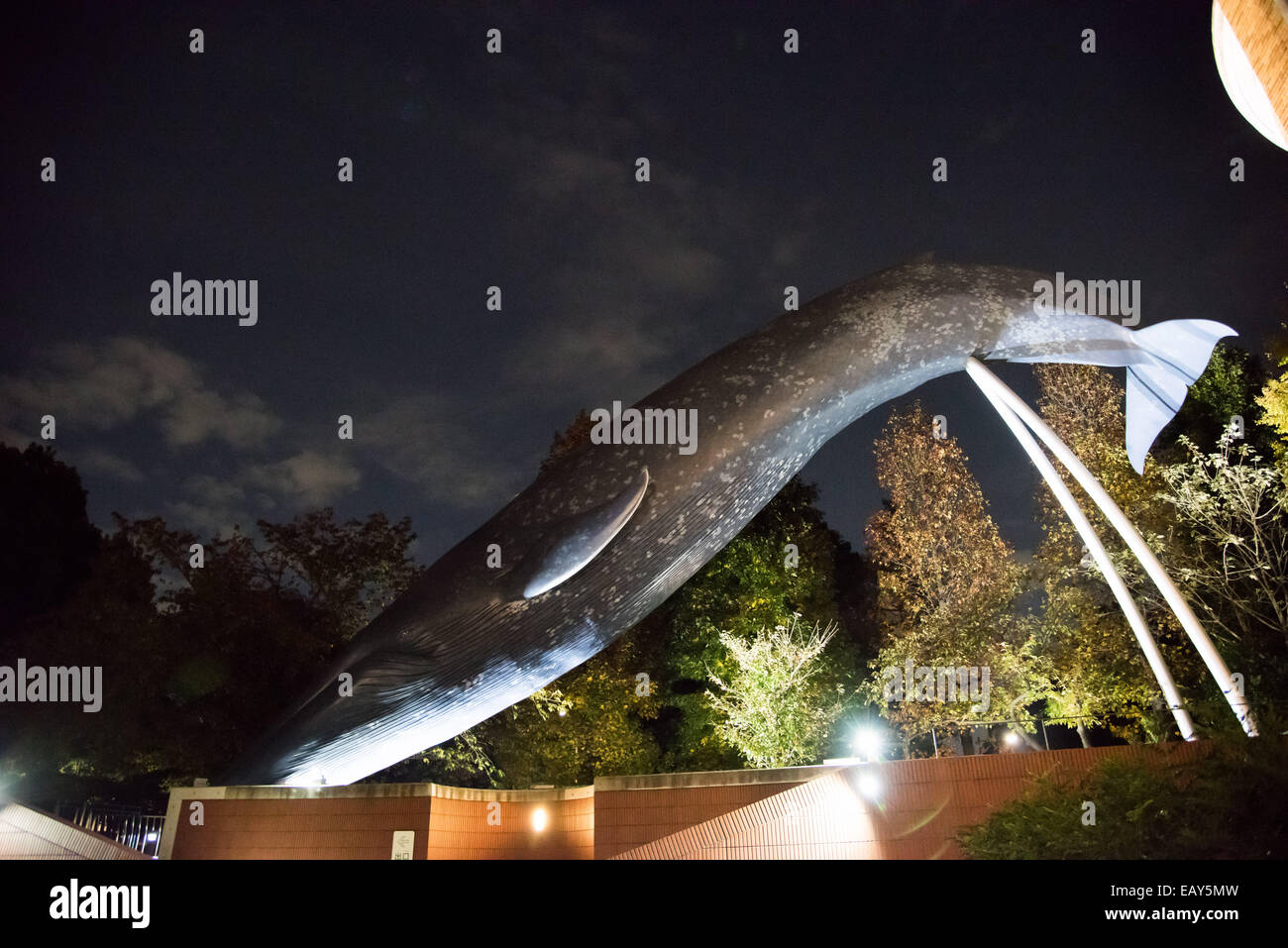 National Museum of Nature and Science,Tokyo,Japan Stock Photo - Alamy
