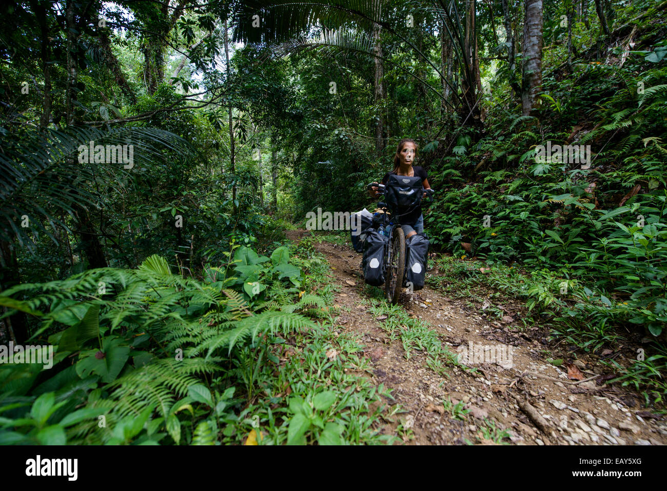 Cycling tour in the jungle, Sulawesi, Indonesia Stock Photo - Alamy
