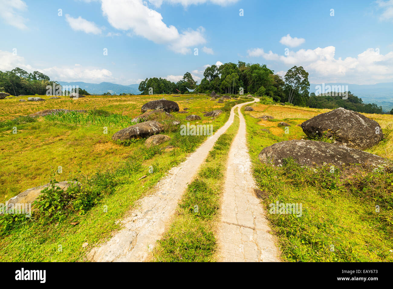 Multi colored rice hi-res stock photography and images - Alamy