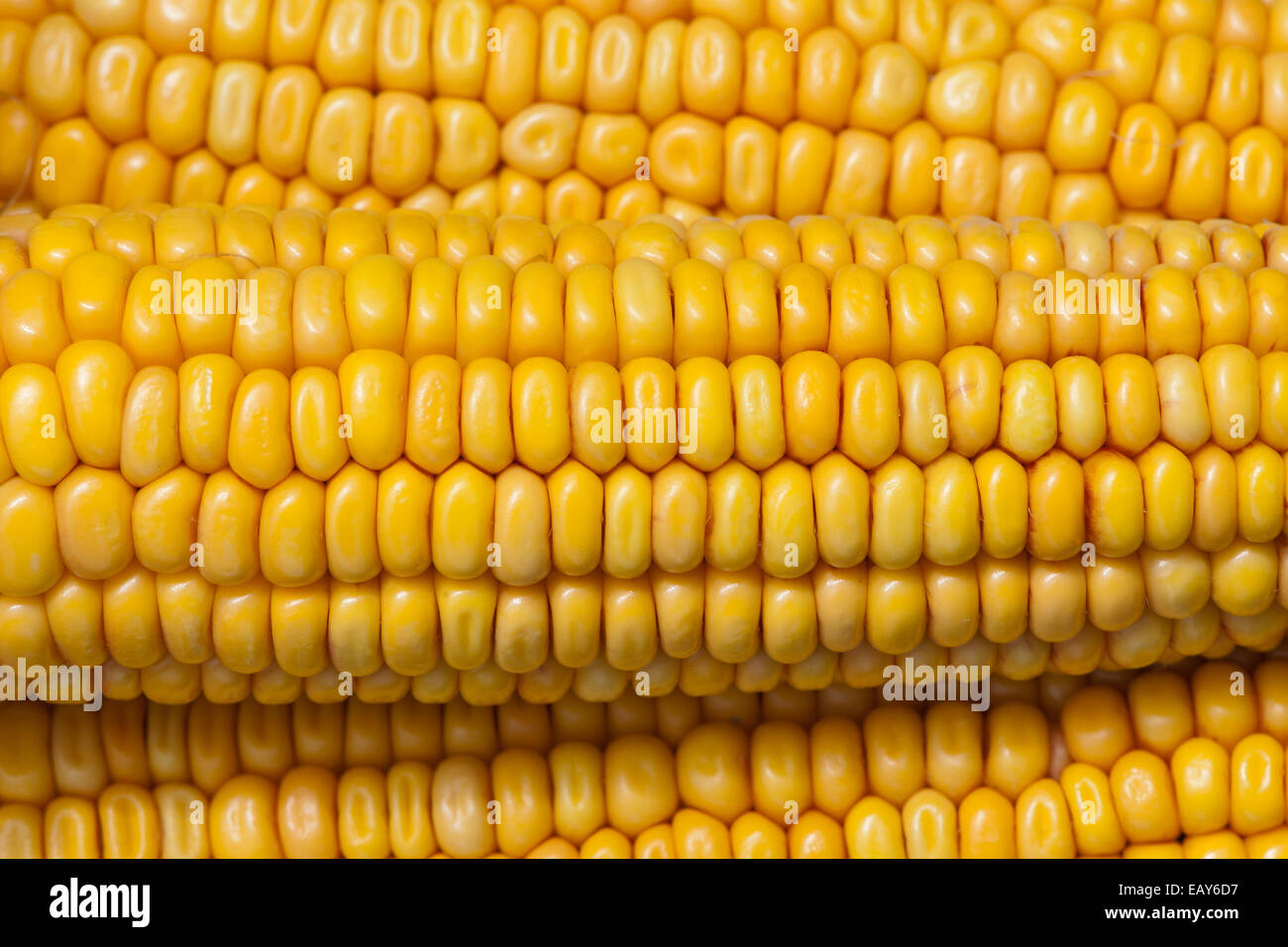 Corn texture hi-res stock photography and images - Alamy