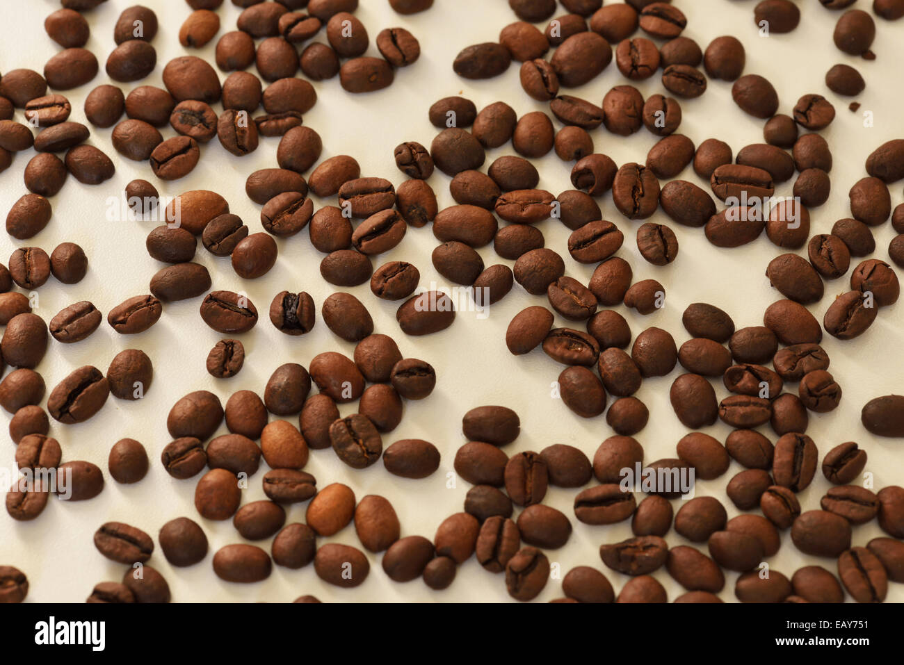 Coffee beans on light background Stock Photo - Alamy