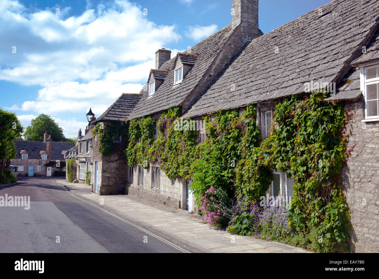 Virginia creeper covered hi-res stock photography and images - Alamy