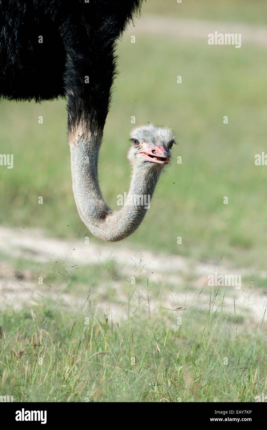 30 000 square feet hi-res stock photography and images - Alamy