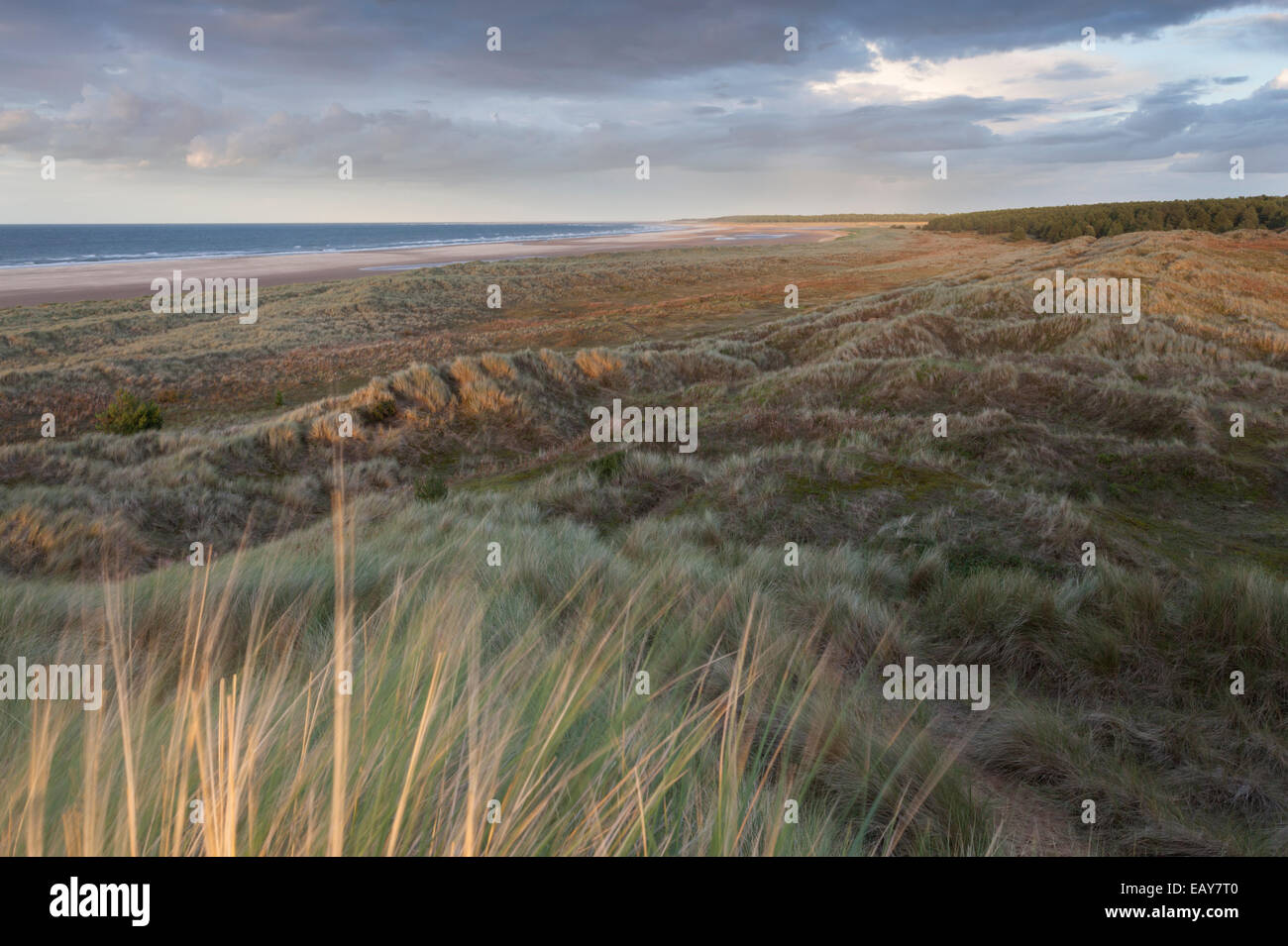 Holkham beach seaside norfolk hi-res stock photography and images - Alamy