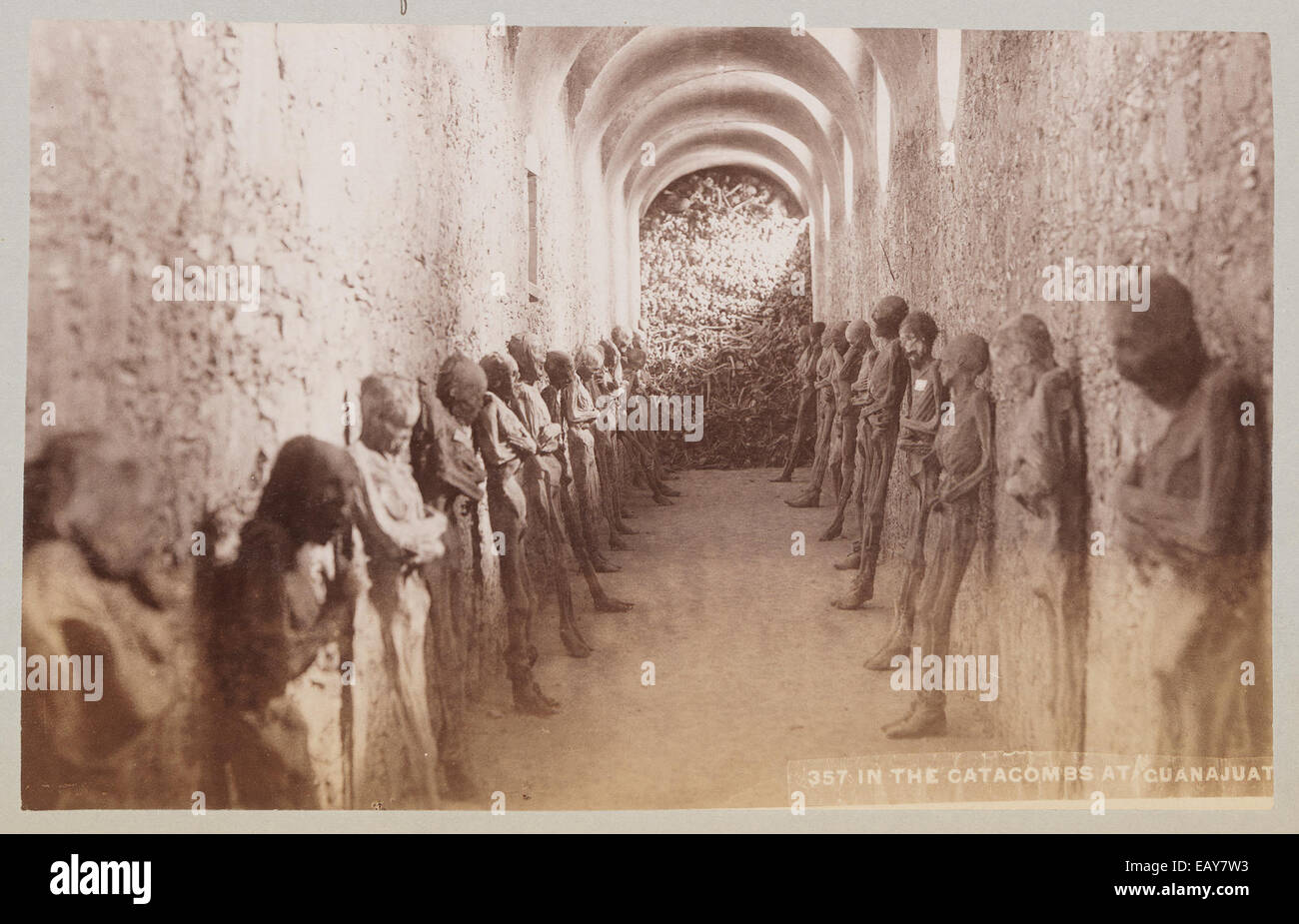 A historical photograph capturing the mummies in the catacombs of ...