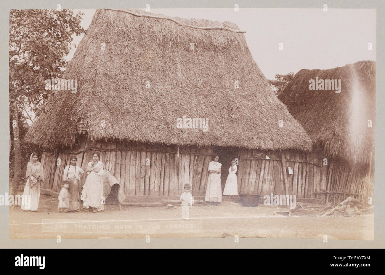 'Thatched Huts in the Tropics' portrays the simple and functional ...
