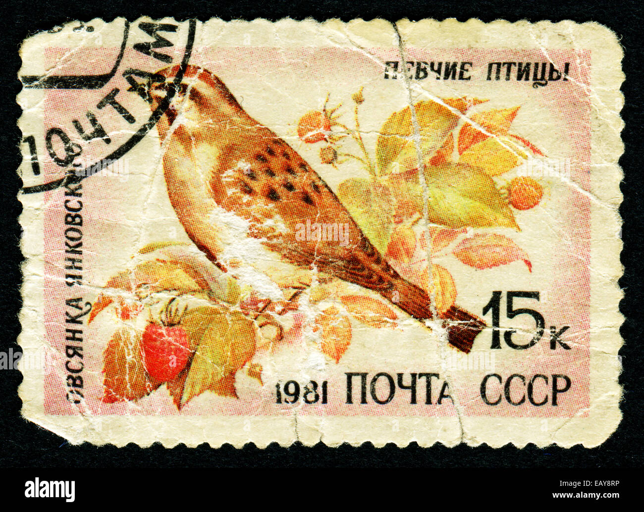 USSR - CIRCA 1981: A stamp printed by USSR shows bird, series animals ...