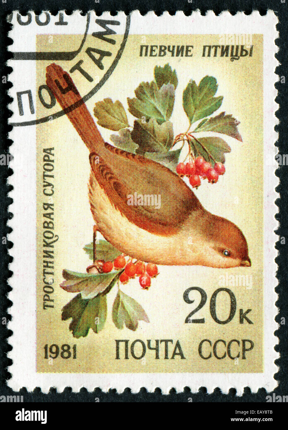 USSR - CIRCA 1981: A stamp printed by USSR shows bird, series animals ...