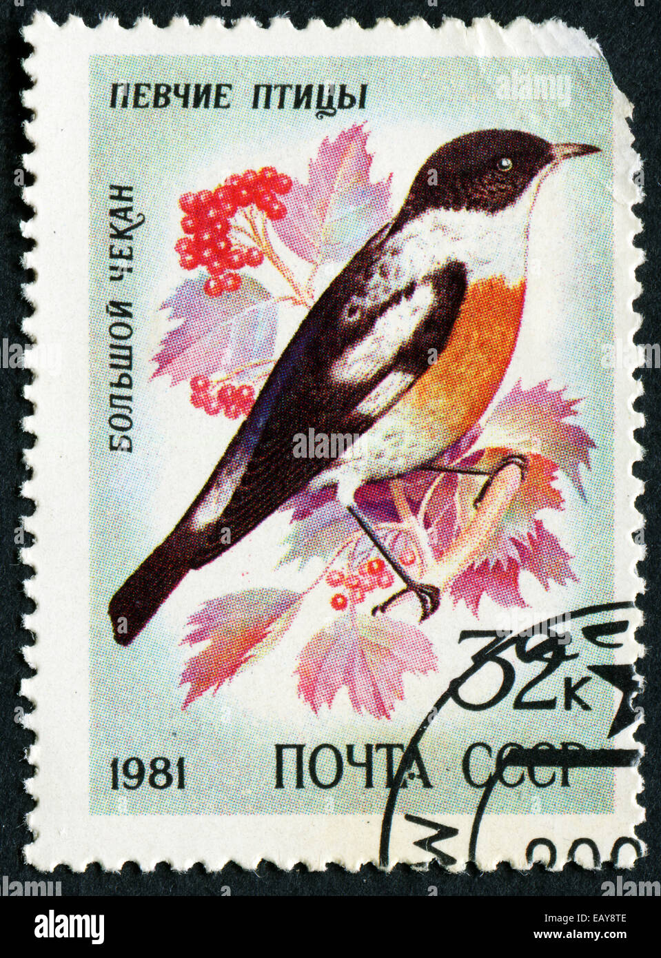 USSR - CIRCA 1981: a post stamp printed in USSR, shows a White-throated ...