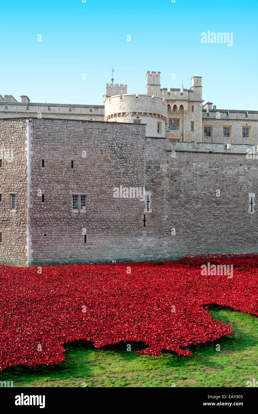 Ceramic red poppies at the Tower Of London, commemorating World War ONe ...