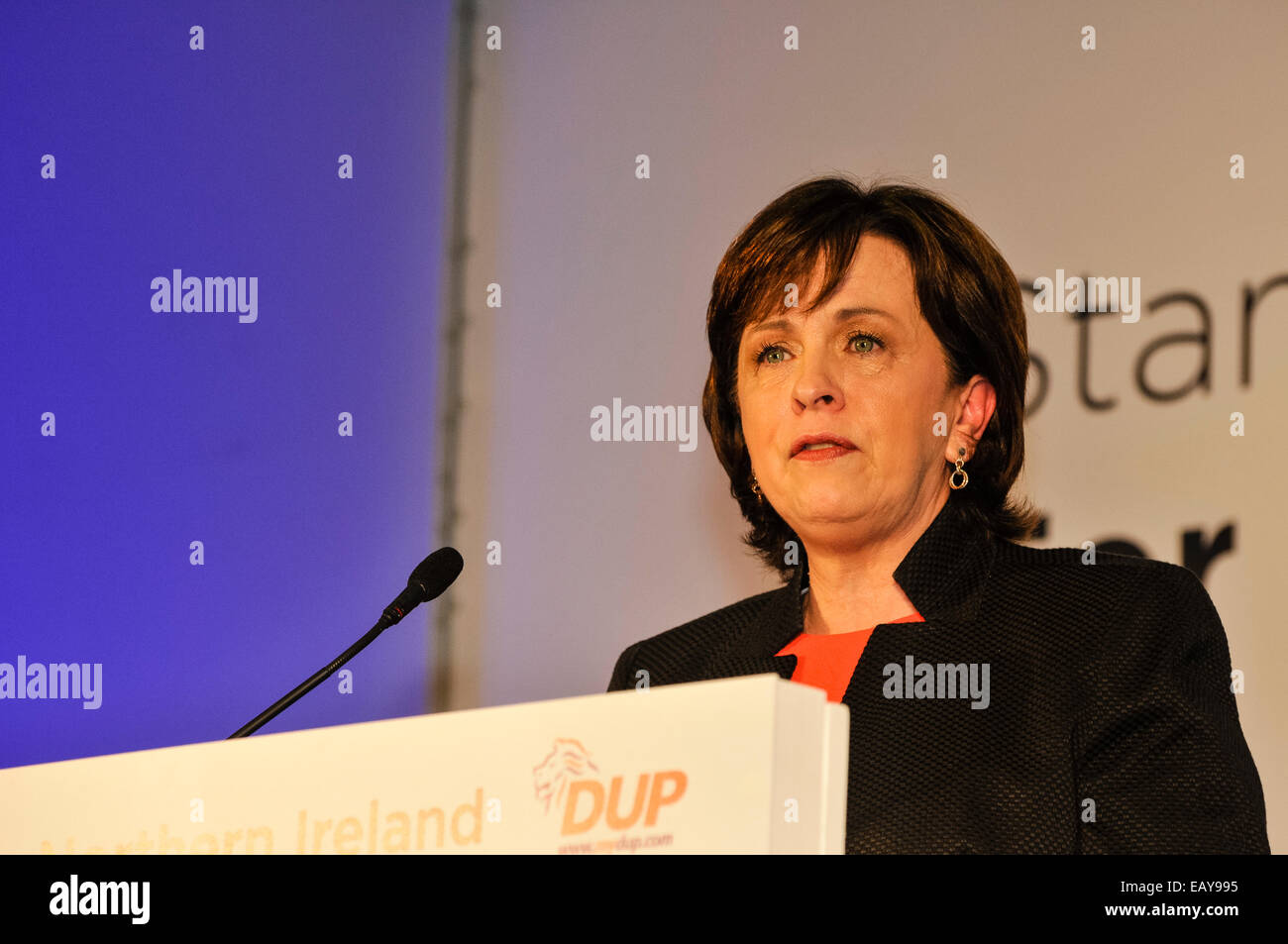 Belfast, Northern Ireland. 22nd Nov 2014. - Diane Dodds MEP addresses ...