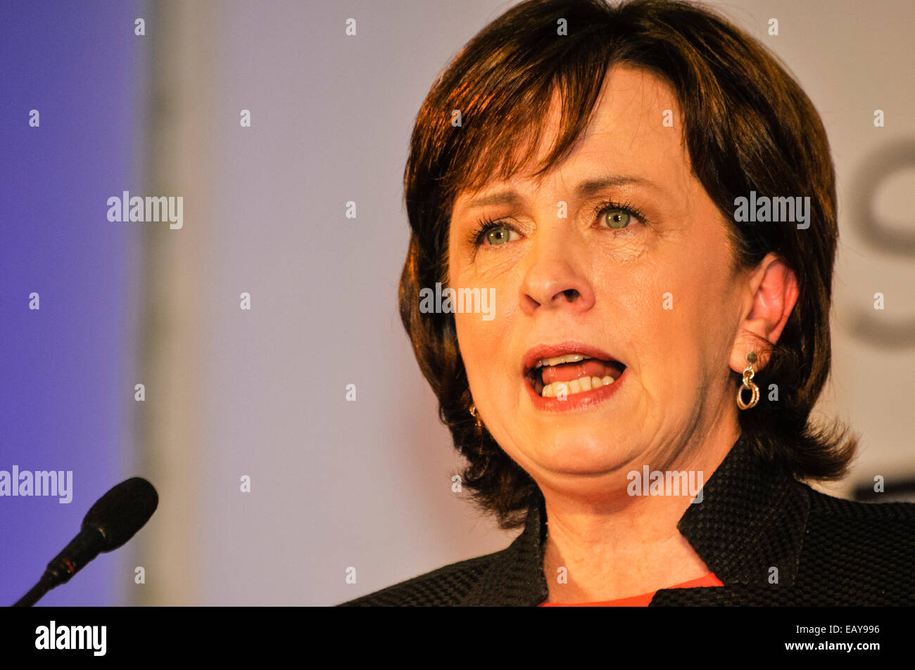 Belfast Northern Ireland 22nd Nov 2014 Diane Dodds Mep Addresses