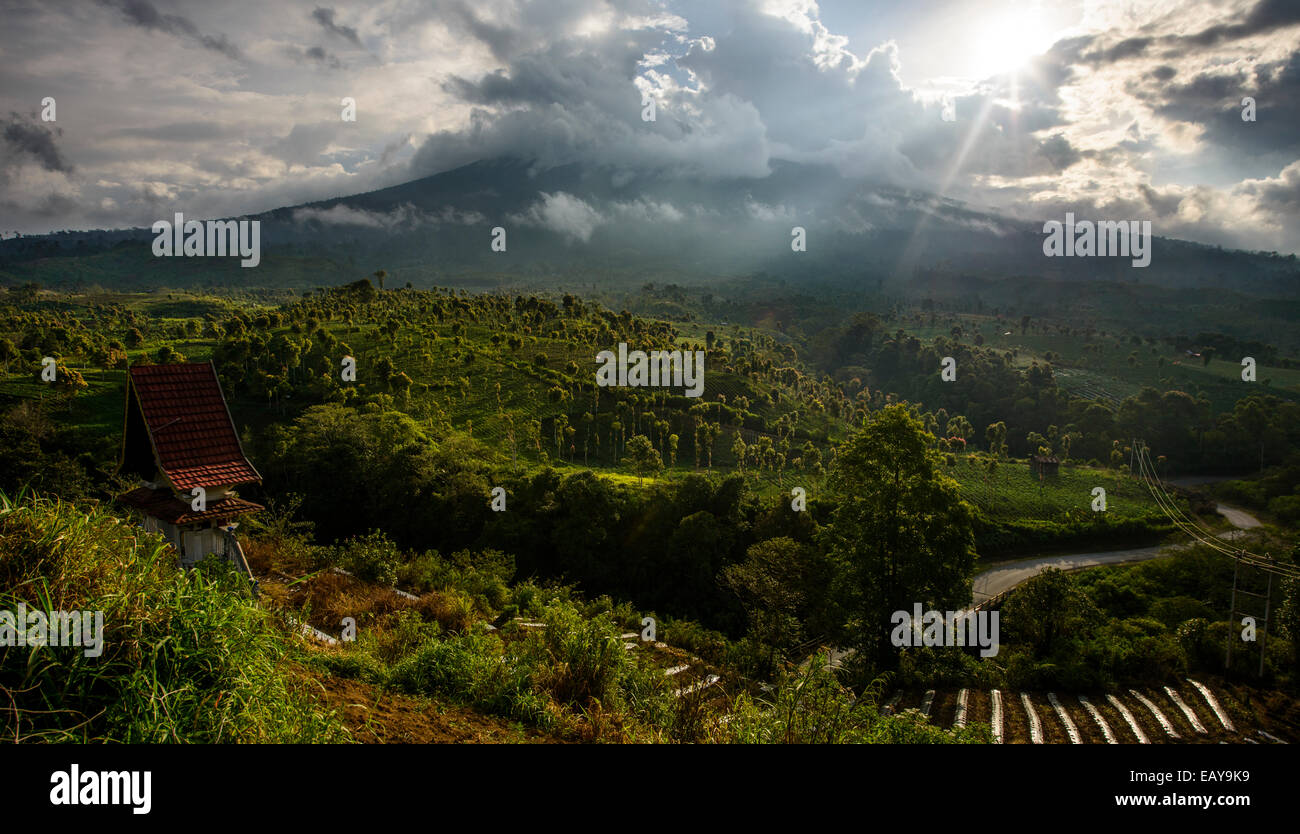 Volcanic landscapes of Sumatra, Indonesia Stock Photo - Alamy