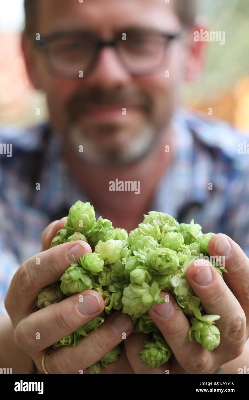 Hops hi-res stock photography and images - Alamy