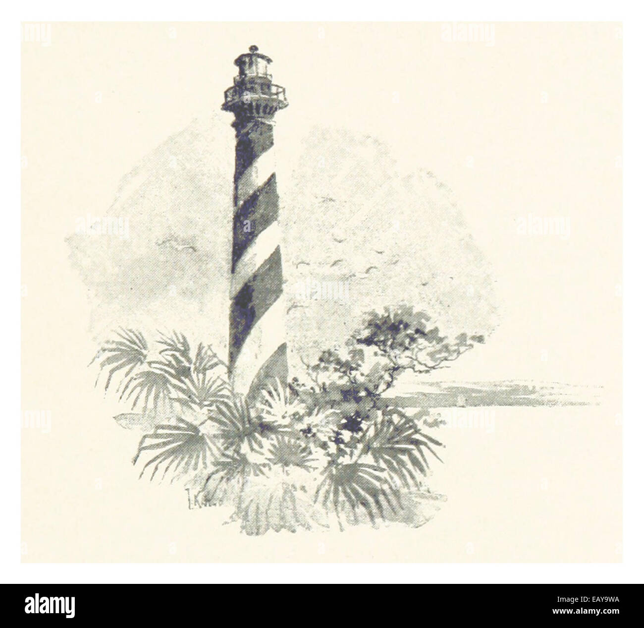 An 1889 illustration of a lighthouse in Florida, highlighting its ...