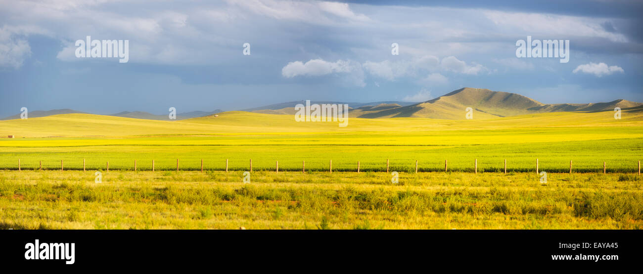 Grasslands, Mongolian steppe, Mongolia Stock Photo - Alamy