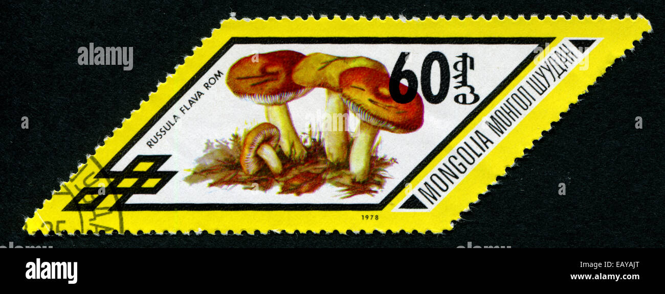MONGOLIA - CIRCA 1978: A stamp printed in Mongolia shows Russula flava ...
