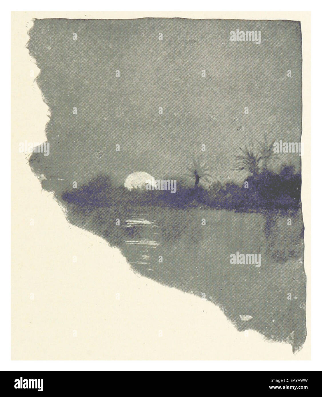 An 1889 illustration or image capturing the night scene in Florida. The ...