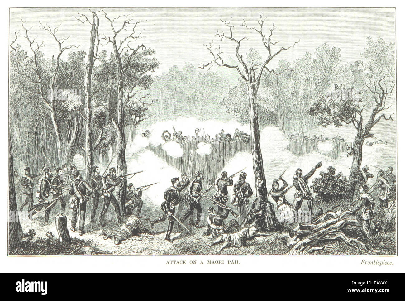 Illustration of the 1873 attack on a Maori Pah, depicting a military ...