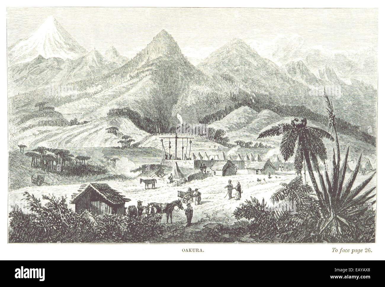 An 1873 illustration by Alexander titled *Oakura*, featuring a scene or ...