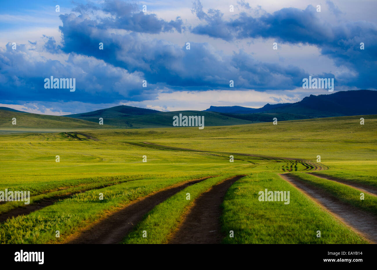 Tracks on the grasslands, Mongolian steppe, Mongolia Stock Photo - Alamy