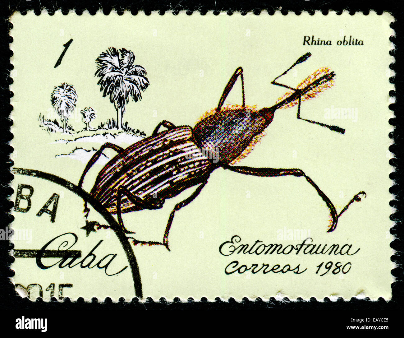 CUBA - CIRCA 1980: A stamp printed in Cuba dedicated to Entomofauna ...