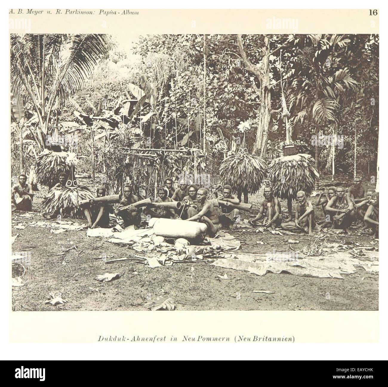 This 19th-century illustration from *Papua-Typen*, Plate 16, depicts ...
