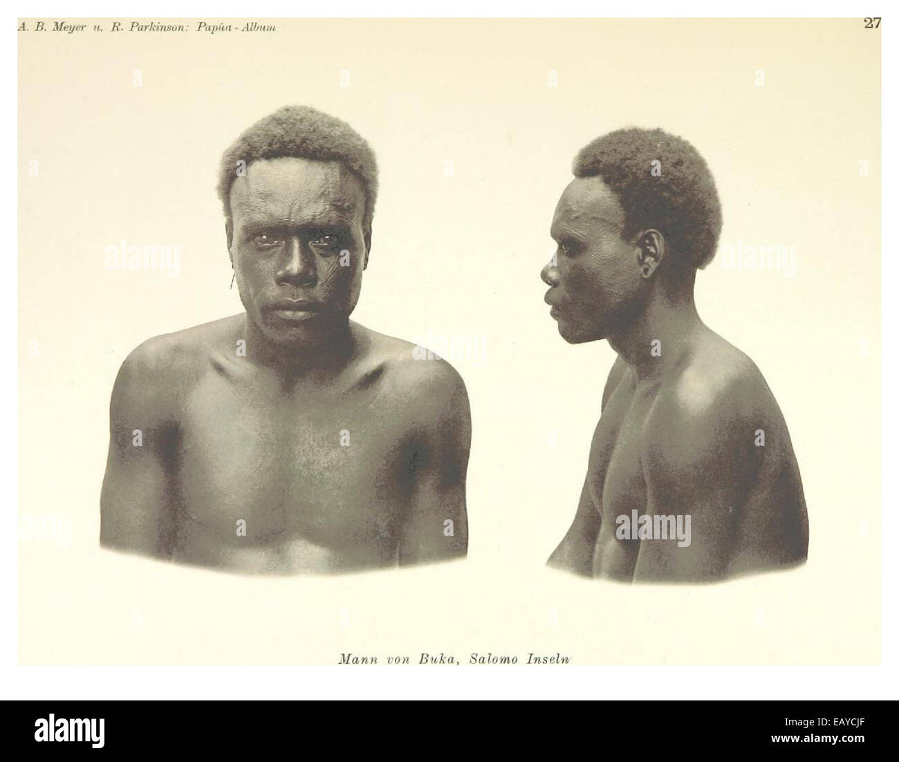 This plate from 'Papua-Typen' features various types of indigenous people from Papua, showcasing ...