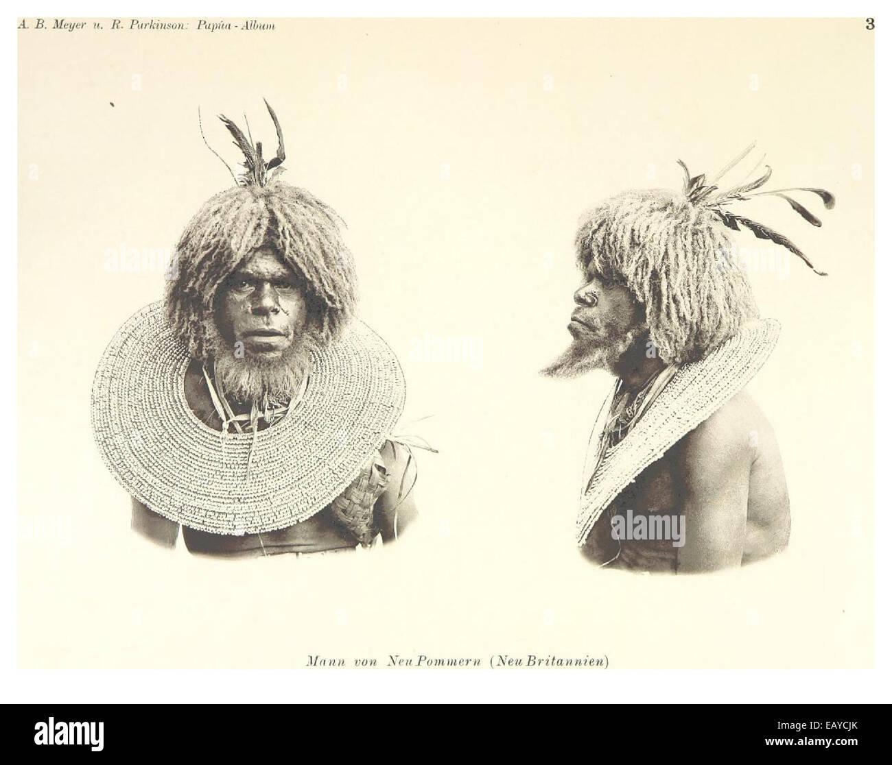 This illustration from 'PAPUA-Typen' depicts a group of indigenous ...