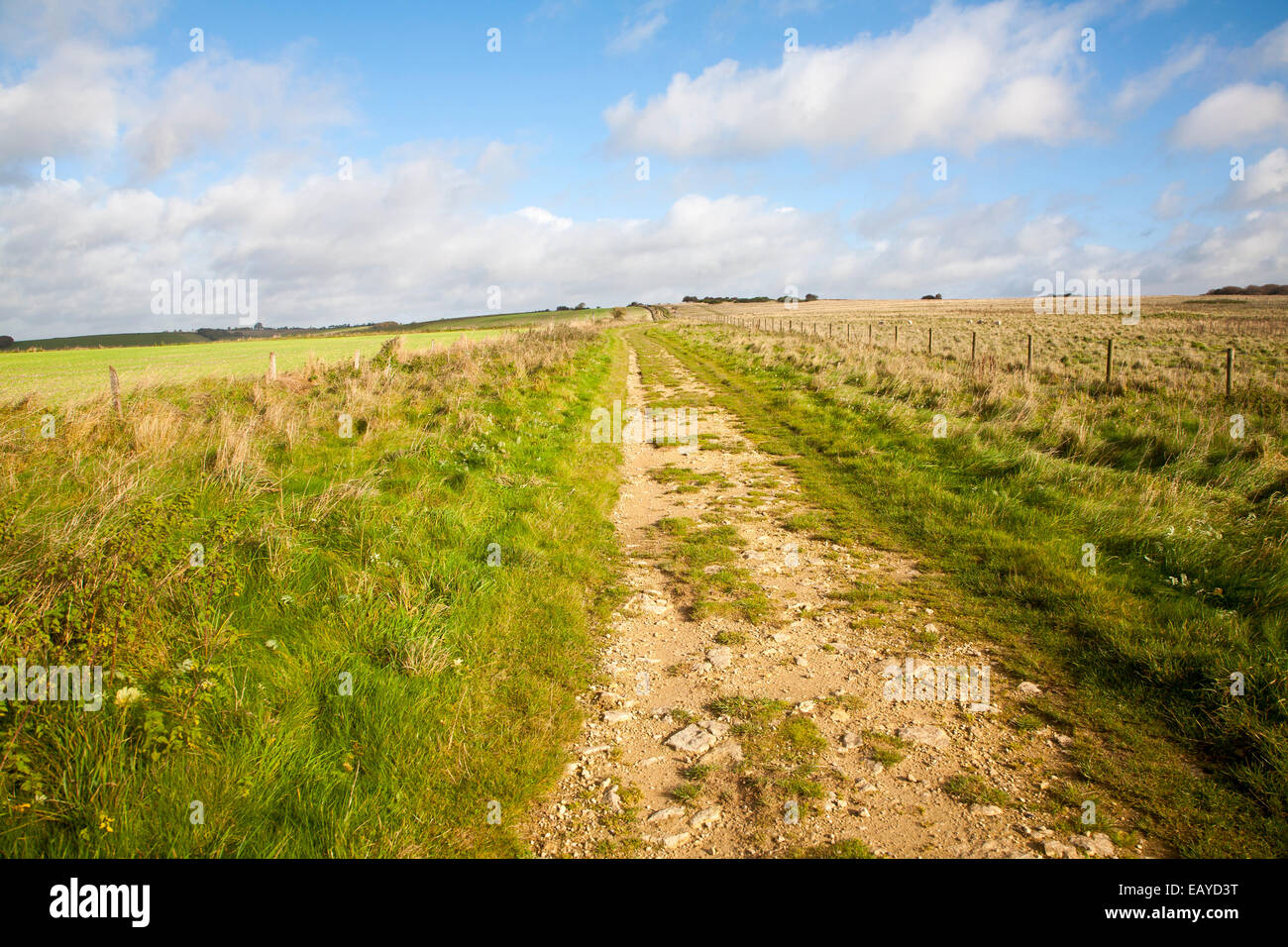 The Ridgeway long distance footpath dating from prehistory near its ...