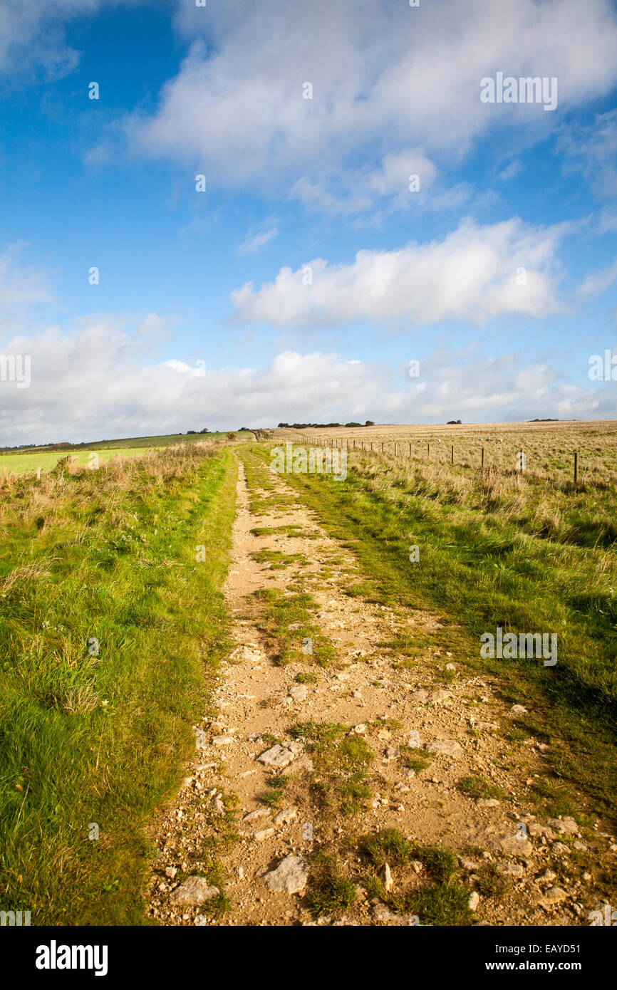 The Ridgeway long distance footpath dating from prehistory near its ...