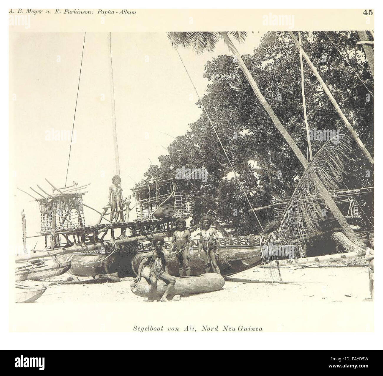 This illustration depicts the types of people from Papua, showcasing ...