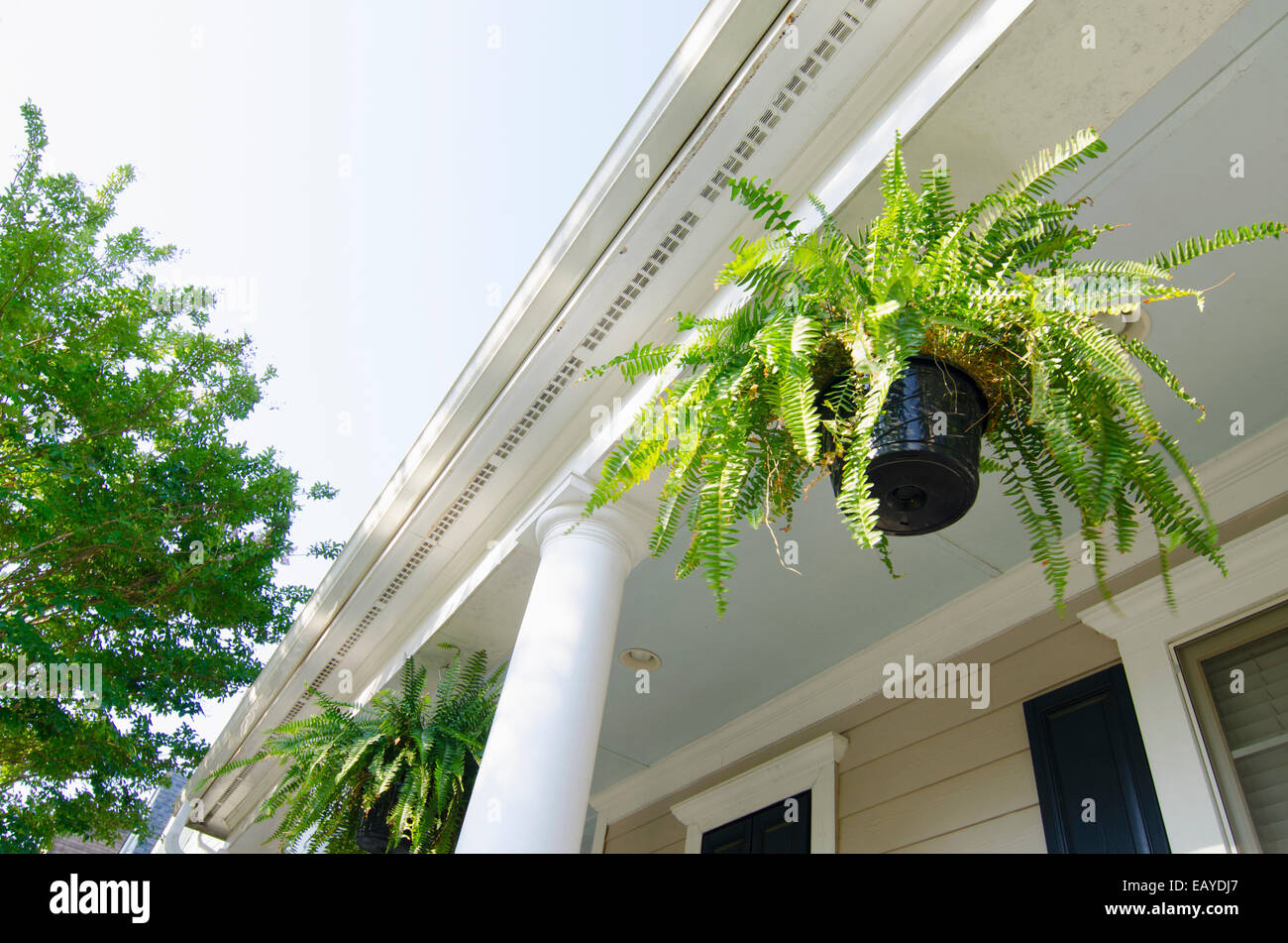 Front Porch: Morning light bathes this Southern front porch with ...