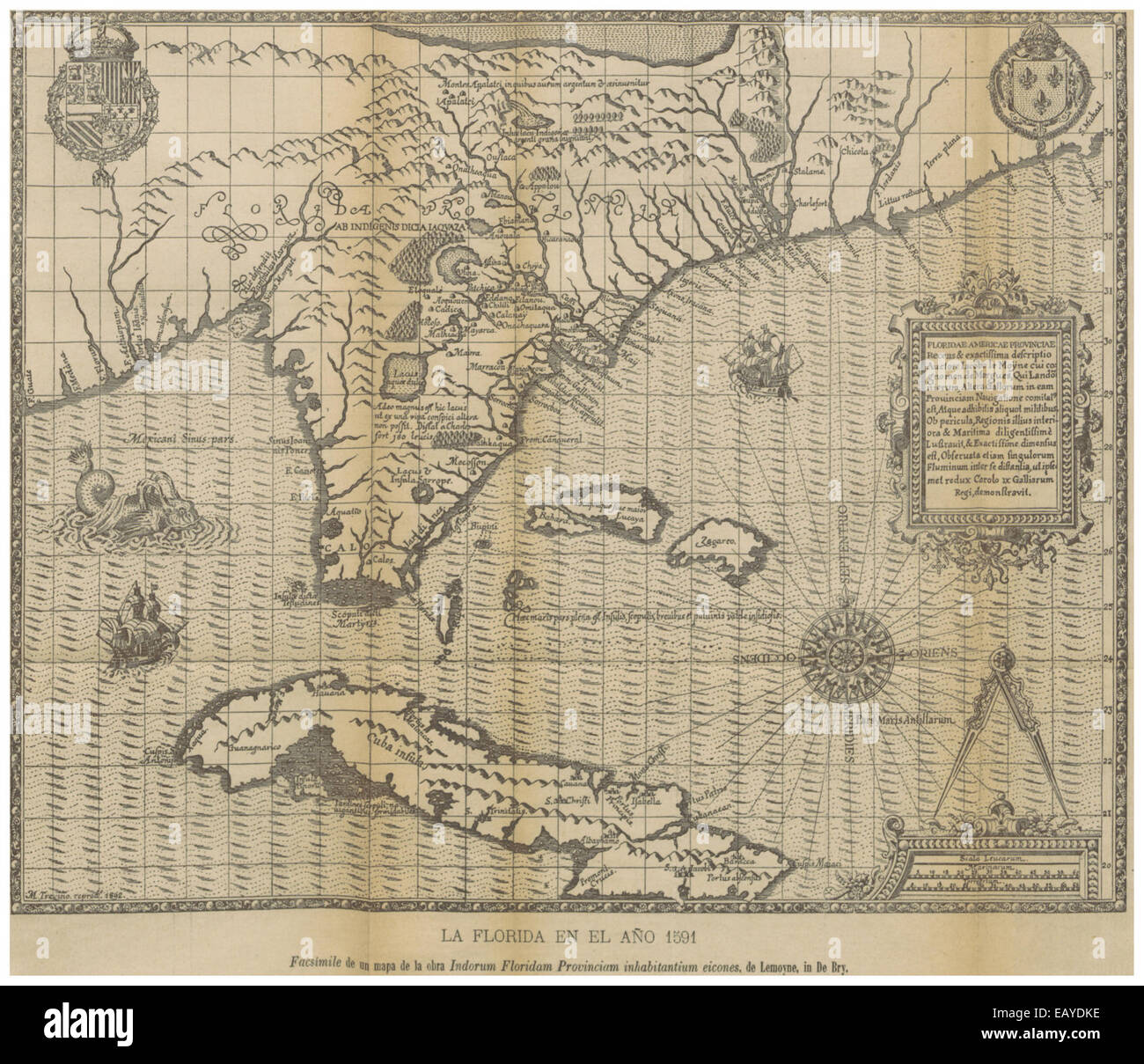 Map of florida 1591 hi-res stock photography and images - Alamy