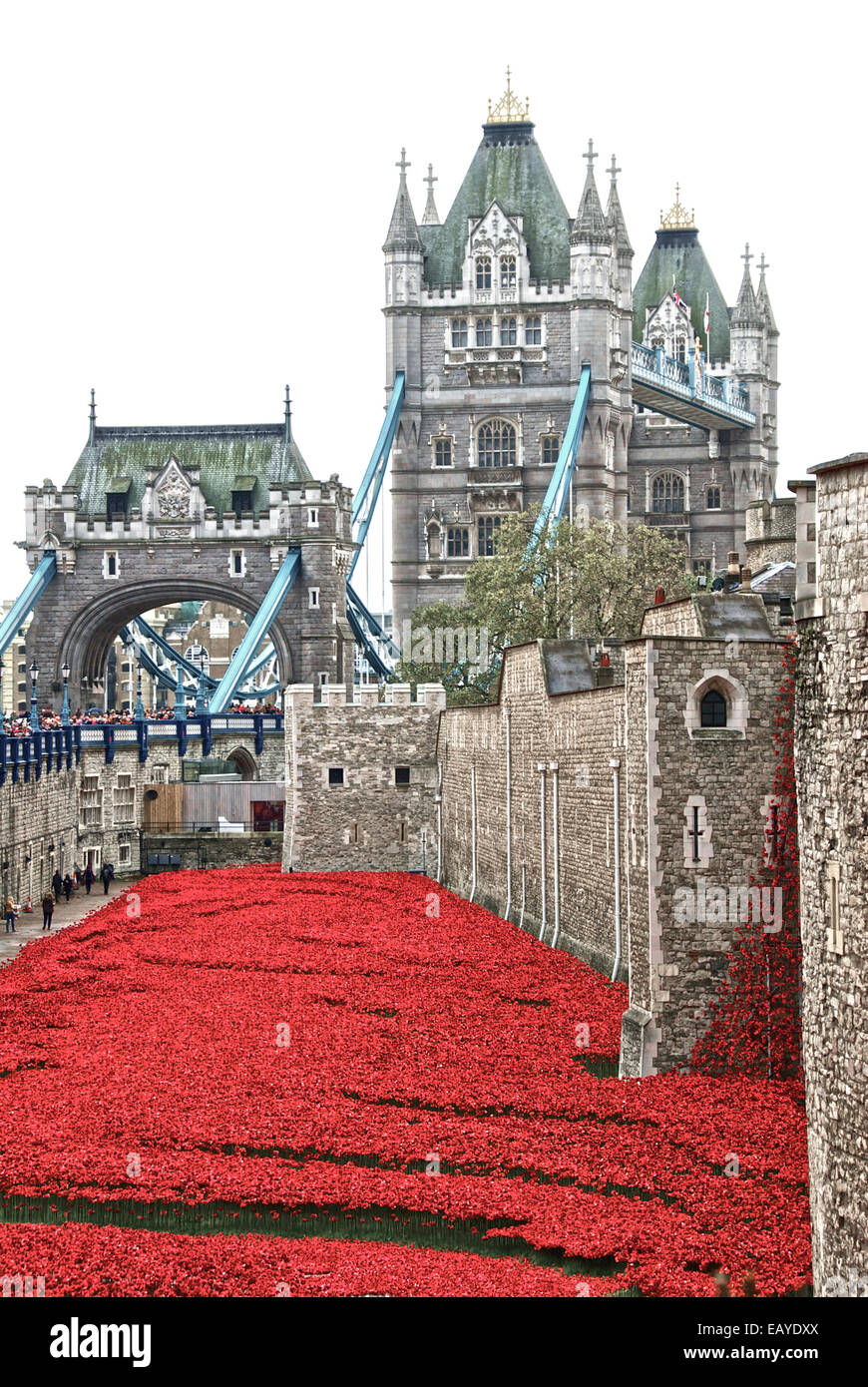 Tower Bridge and Poppies at the Tower Stock Photo - Alamy