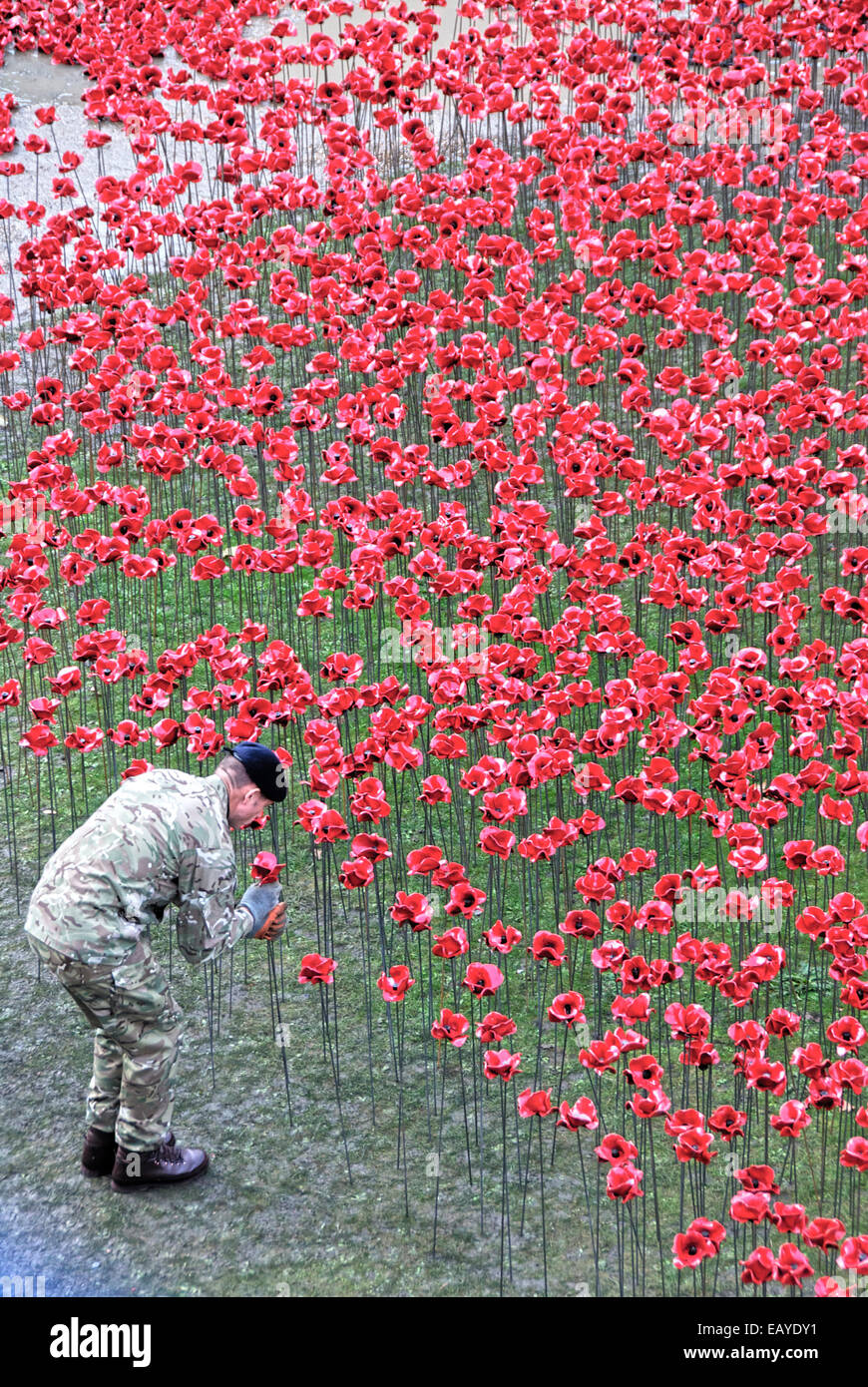 Ww1 poppy soldier hi-res stock photography and images - Alamy