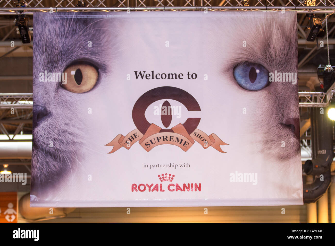 Birmingham, UK. 22nd Nov, 2014. Supreme cat show where all cats compete ...