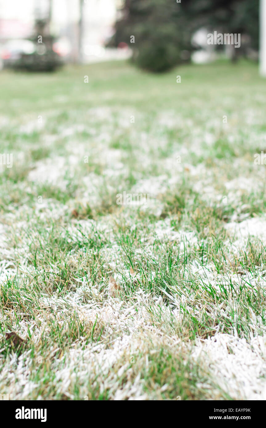 First grass hi-res stock photography and images - Alamy