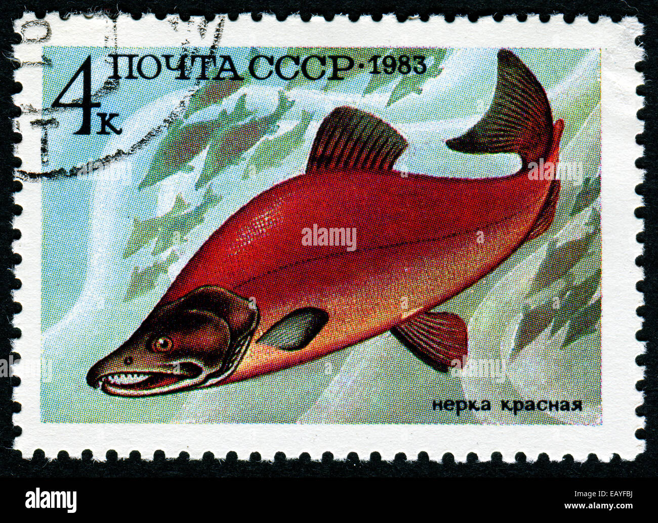 USSR - CIRCA 1983: stamp printed by USSR, shows the image a fish called ...